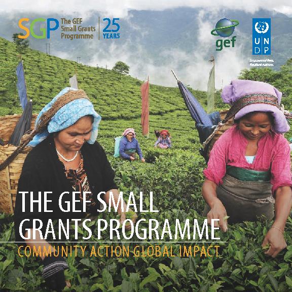 Climate Change Mitigation