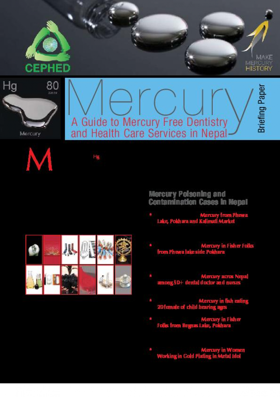 Mercury briefing paper