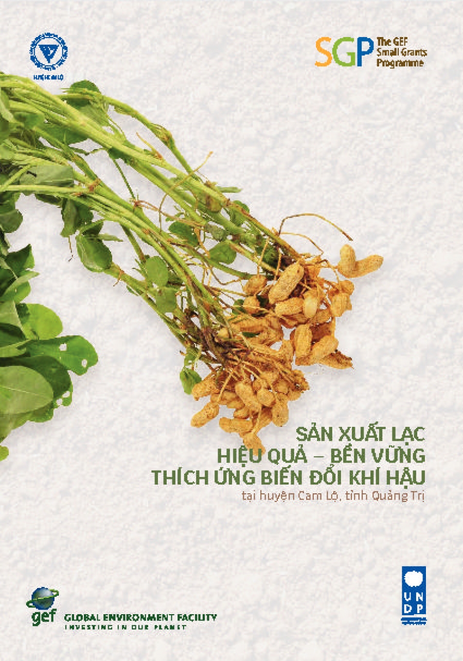 Groundnut production: effective, sustainable and adaptive to climate ...